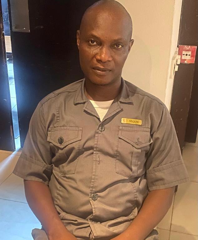 Segun Adegbola - The Wheatbaker