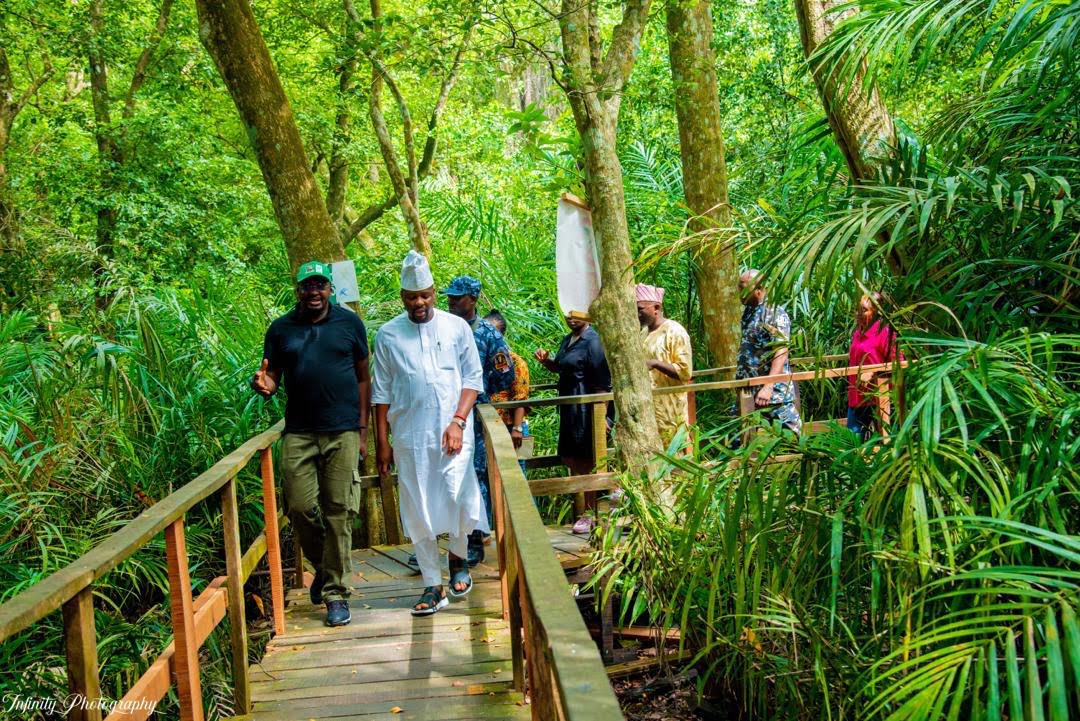 Ecotourism in Lagos: Best Practices and Future Prospects - The Wheatbaker